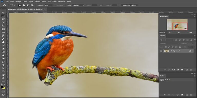 How to Make Background Transparent in Photoshop